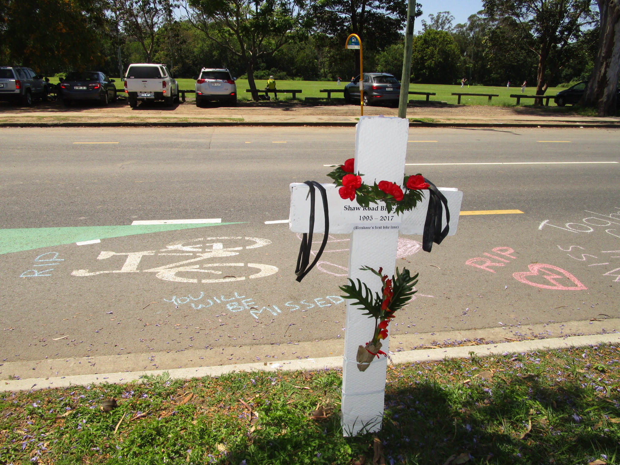 Save Shaw Road Bike Lanes, Wooloowin – Space for Cycling Brisbane